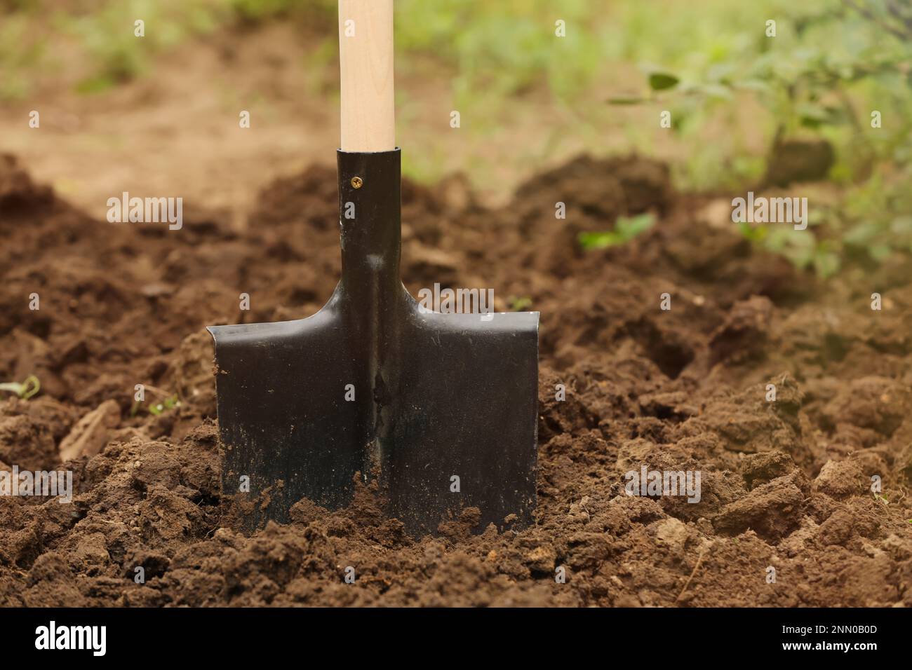 Shovel in soil outdoors, space for text. Gardening tool Stock Photo - Alamy