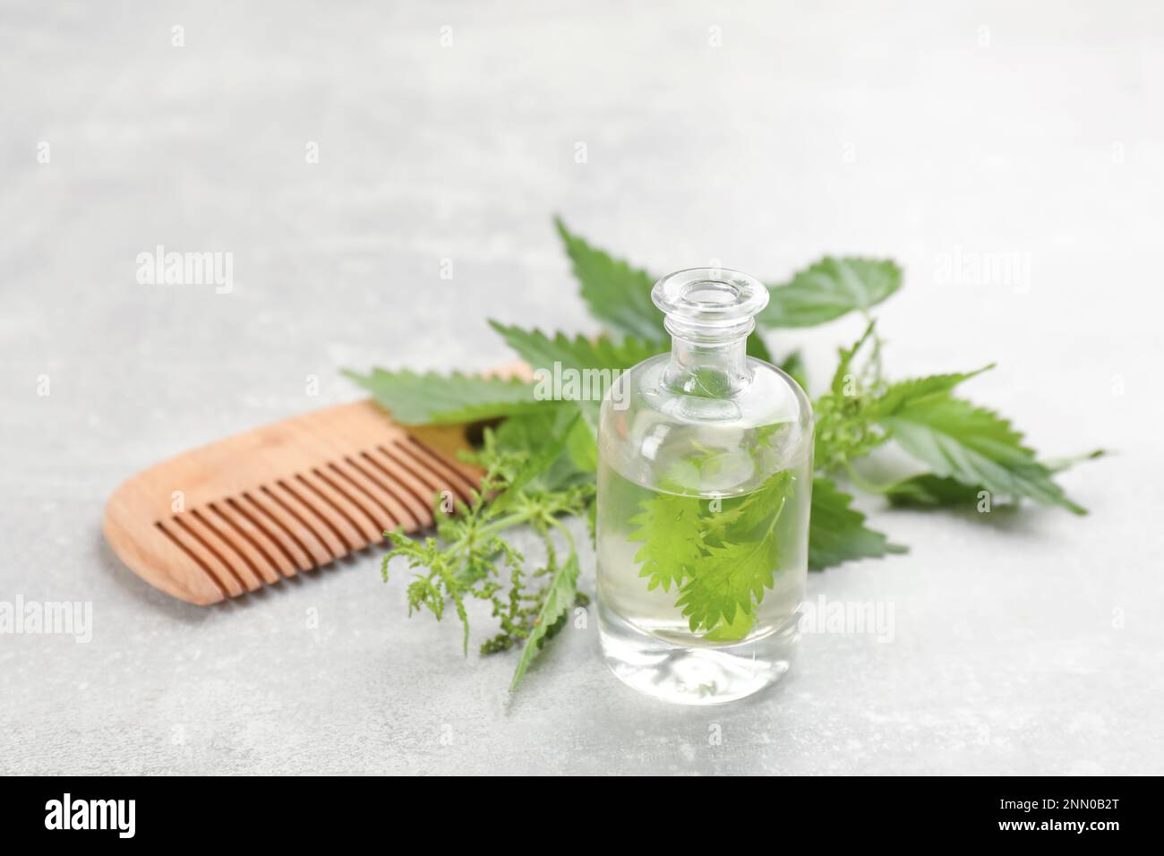 Stinging nettle, extract and comb on grey background. Natural hair care ...