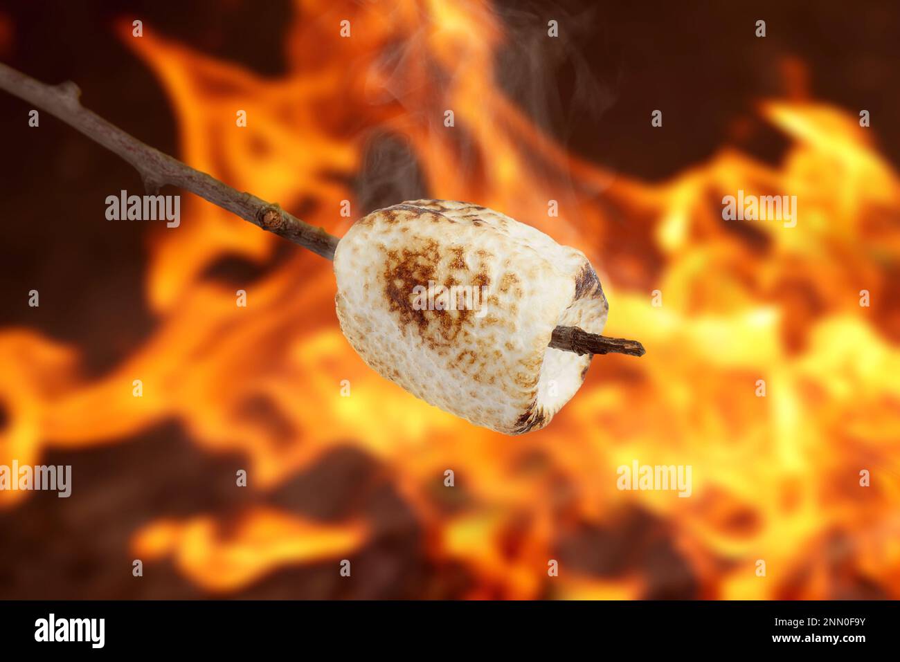 Delicious puffy marshmallow roasting over bonfire. Yummy snack Stock ...