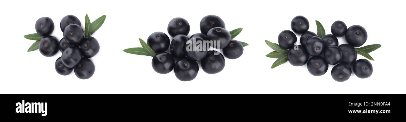 Set with acai berries on white background, top view. Banner design ...