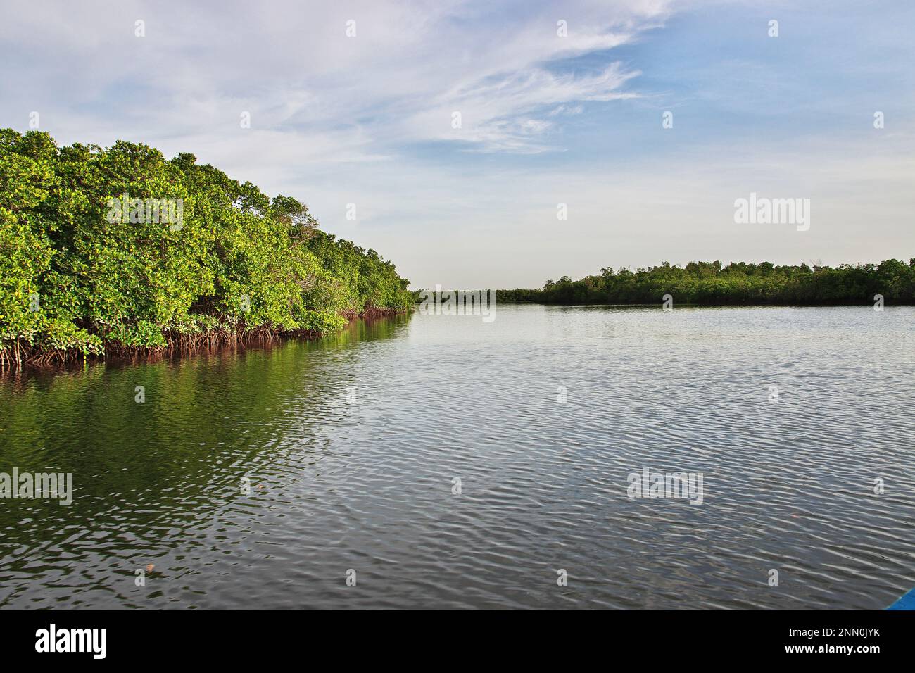 Bandiala river close Toubacouta village, Senegal, West Africa Stock ...