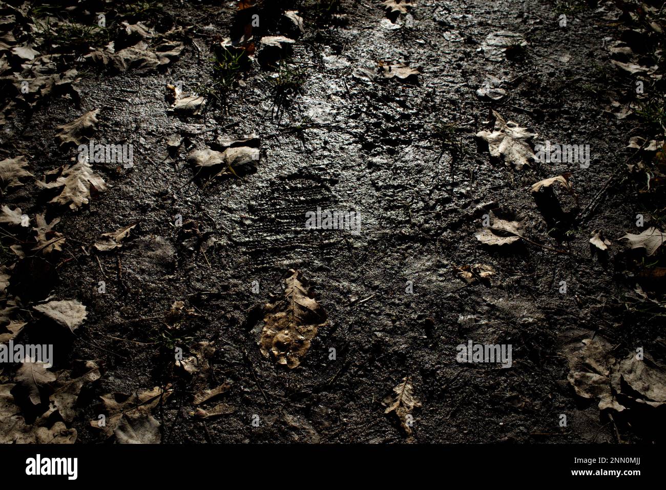 footprints of hiking boots in very dark brown and wet mud within some ...