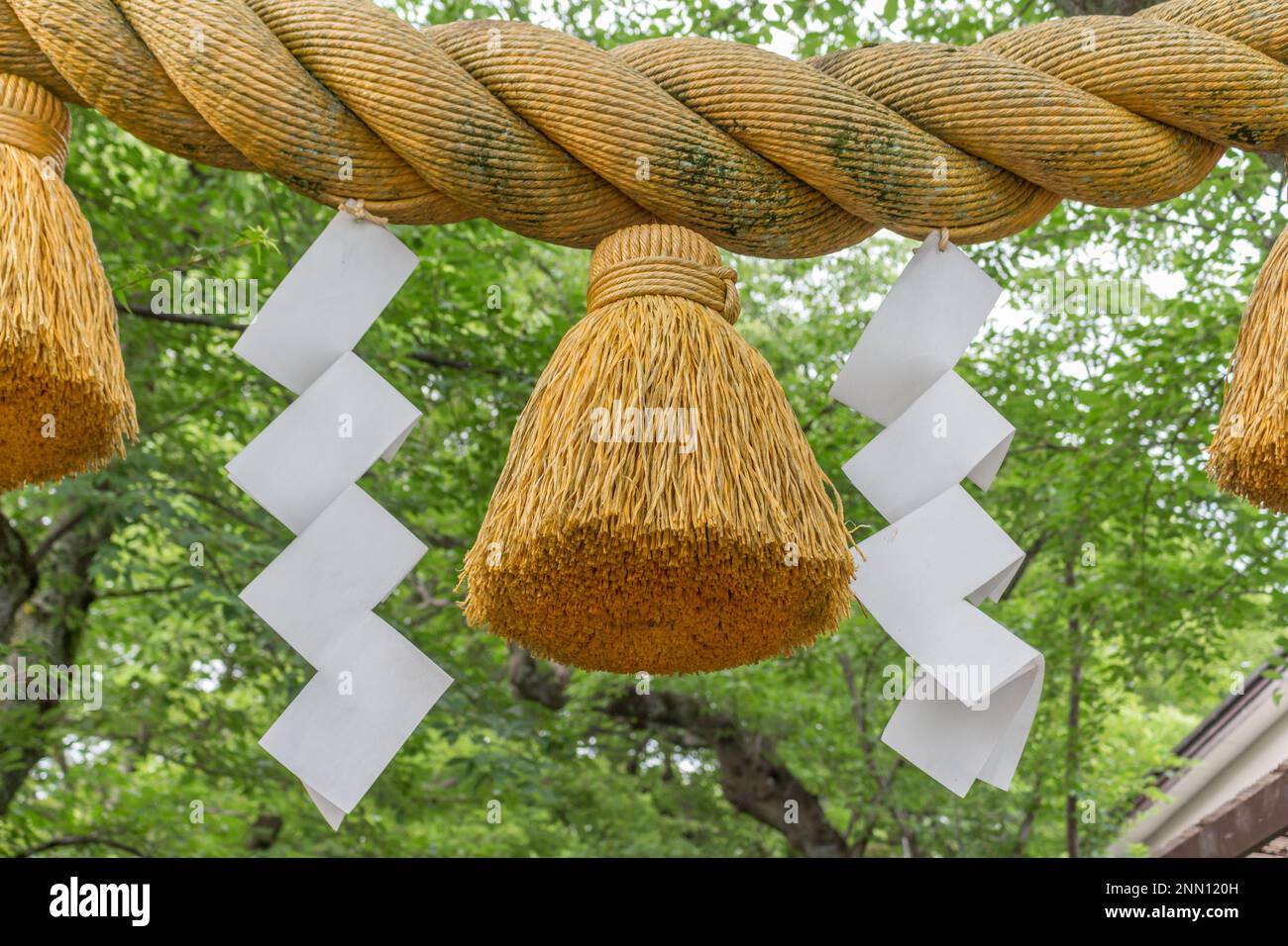 Sacred rope, or shimenawa, and zigzag streamers, or shide, at shinto ...