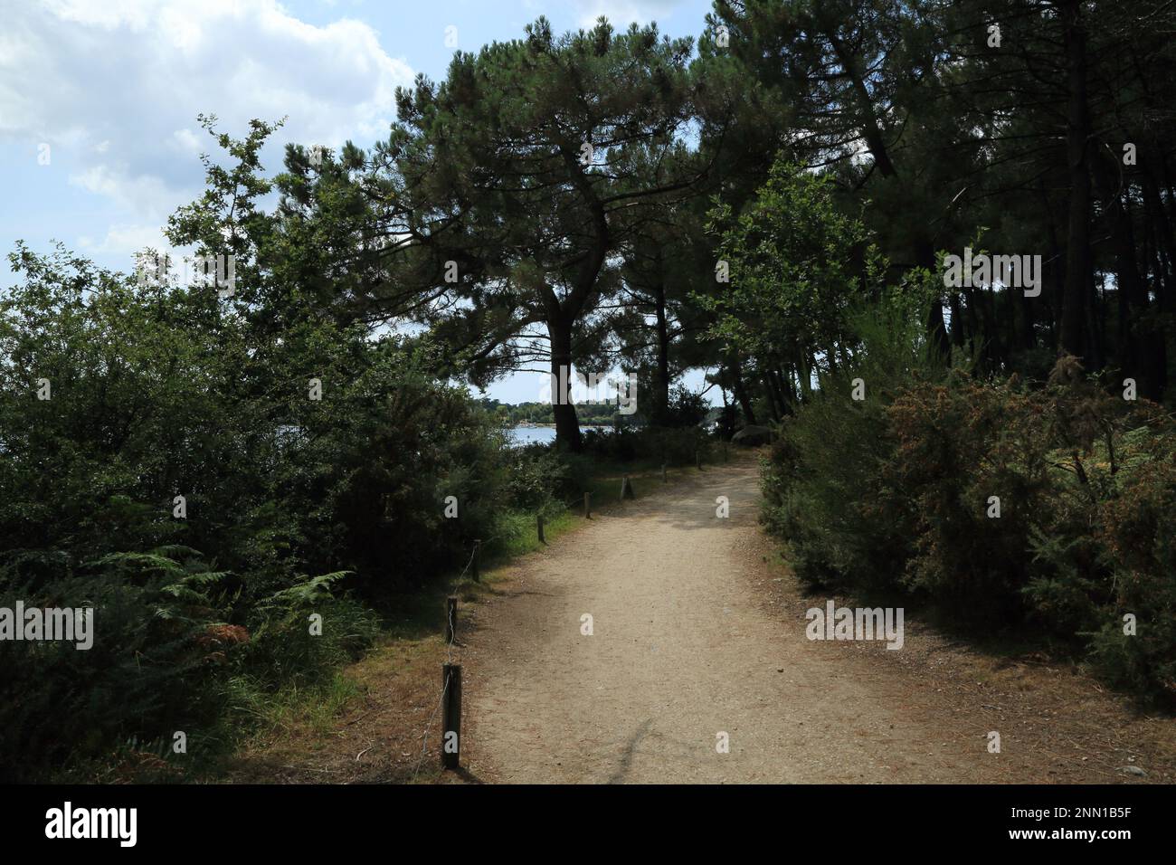 Footpath and woodland at Promenade Paul Chapel, Pointe des Emigres ...