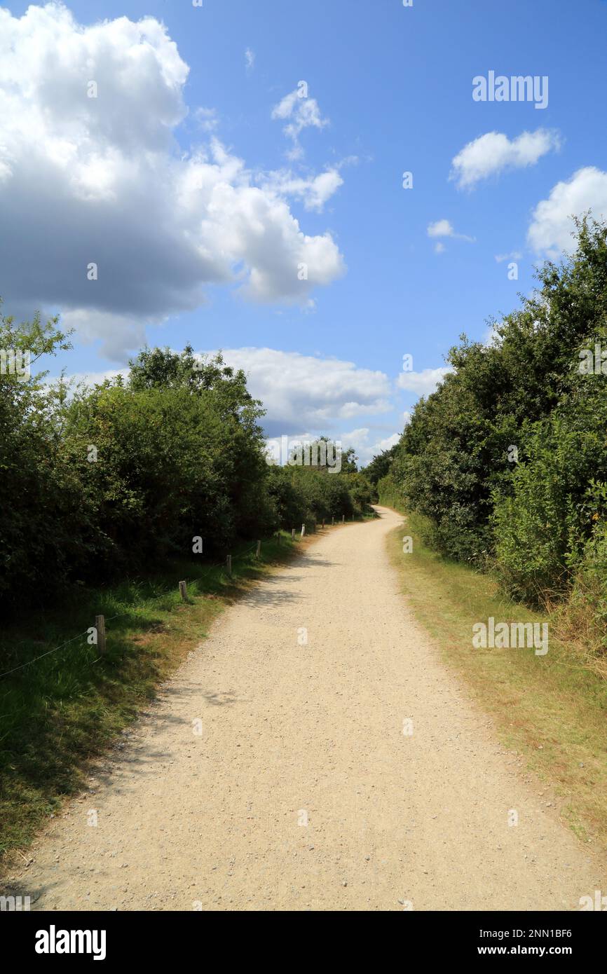 Footpath and woodland at Promenade Paul Chapel, Pointe des Emigres ...
