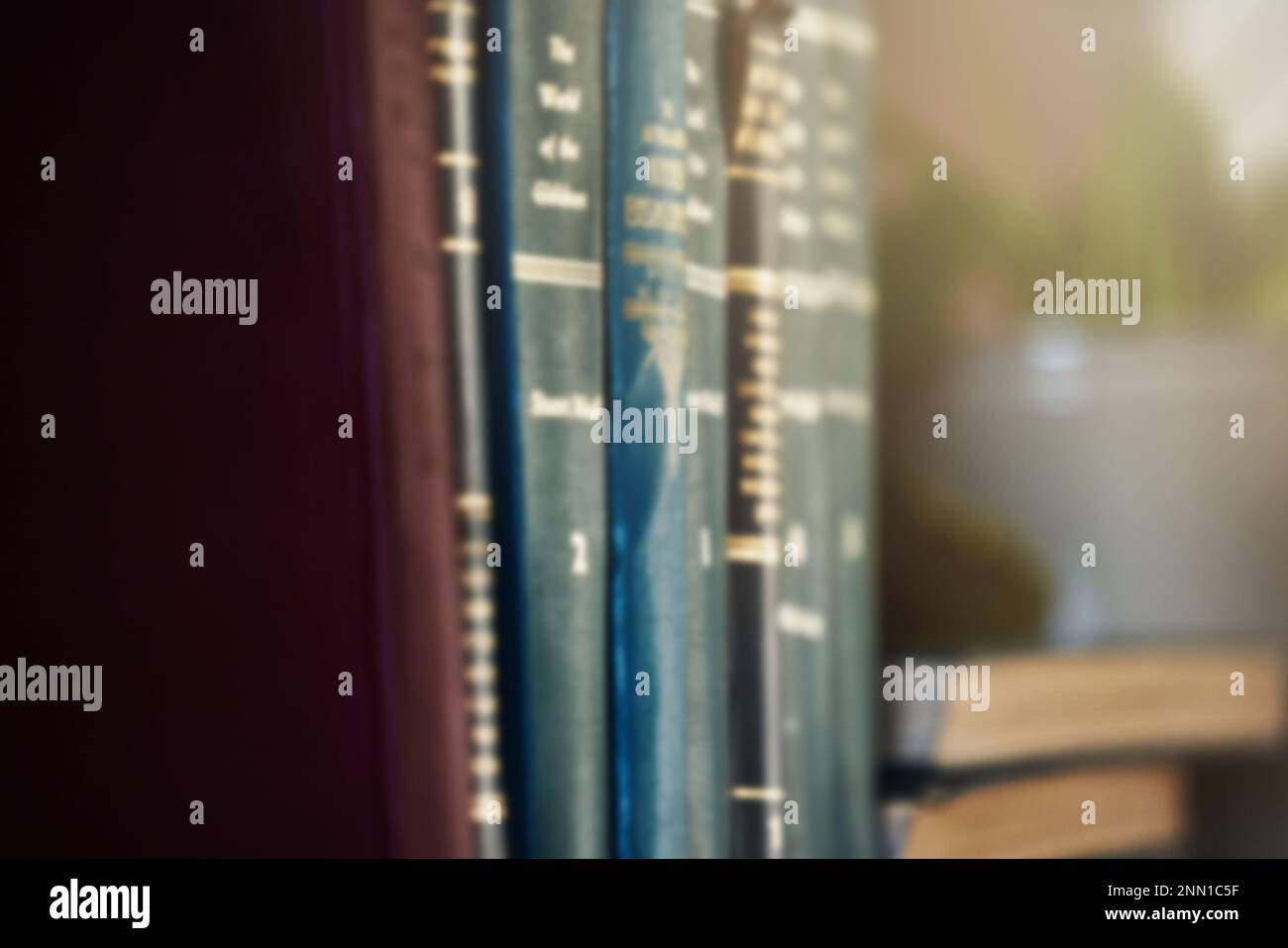 Education, learning and books on a shelf for knowledge, law and college ...
