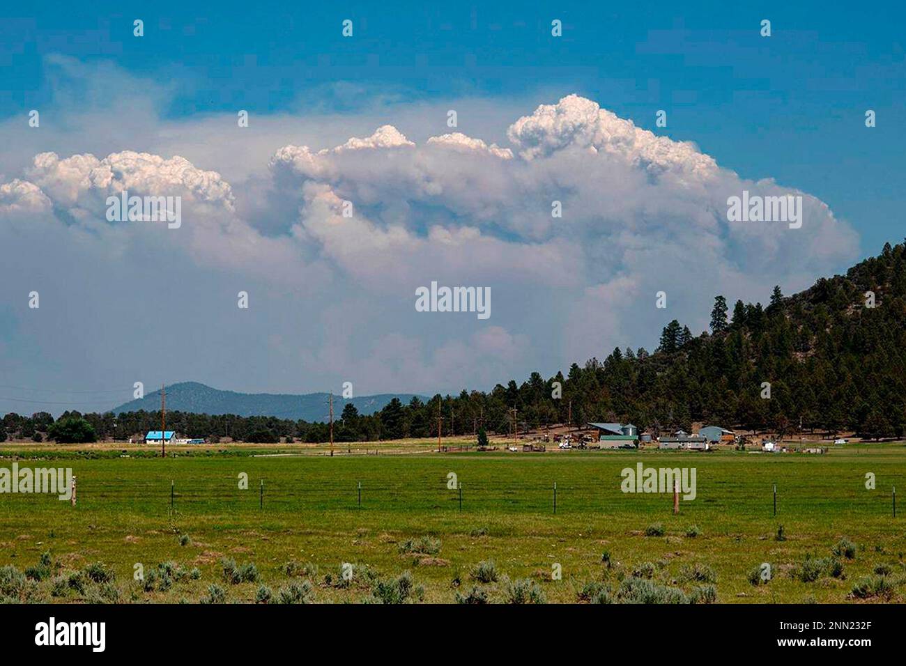 In this photo provided by the Bootleg Fire Incident Command, columns of ...