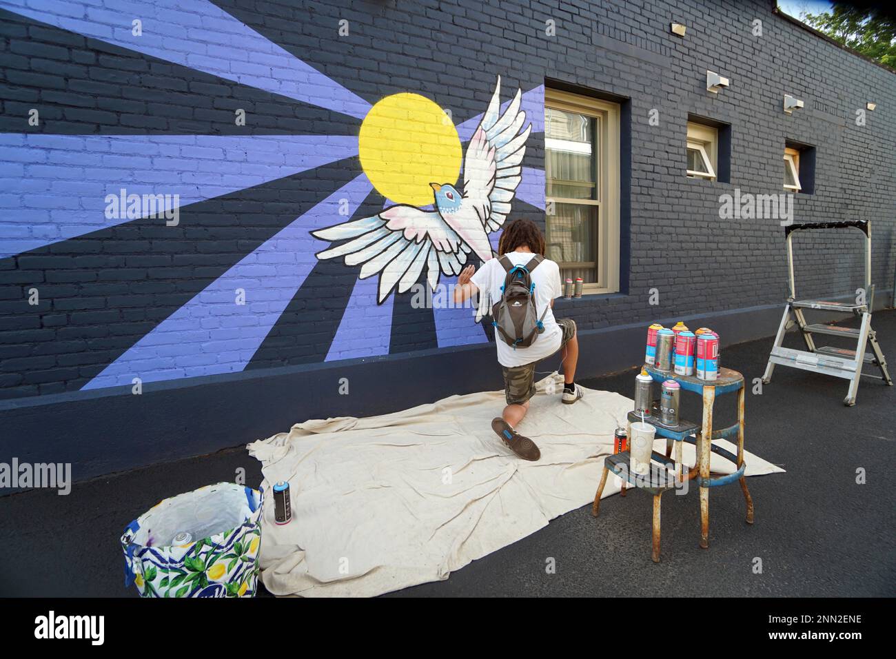 Artist Mike Carty paints a mural, called West Side Love, at a private ...
