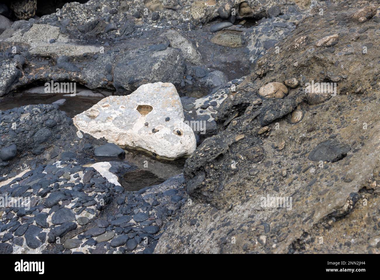 Coast of the Atlantic ocean, with stones and rocks of various shapes ...