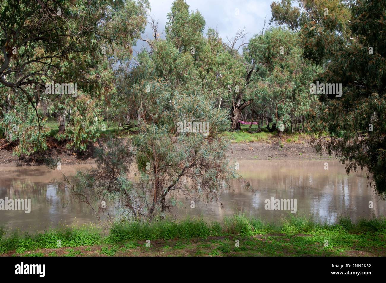 Pooncarie Australia, view across darling river where pink canoe ...