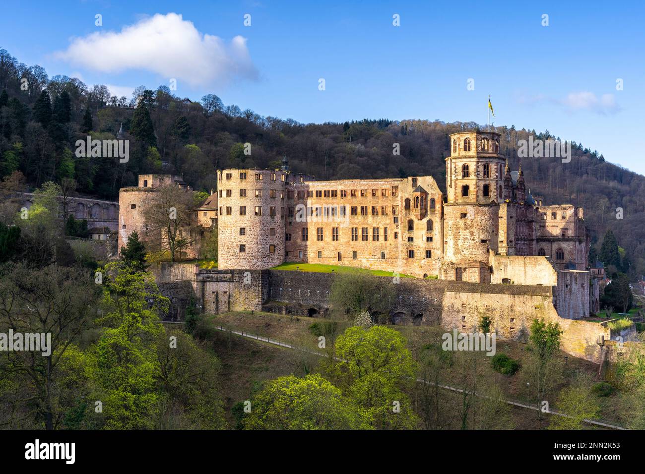 The famous castle of Heidelberg, Germany, in the morning sun in spring ...