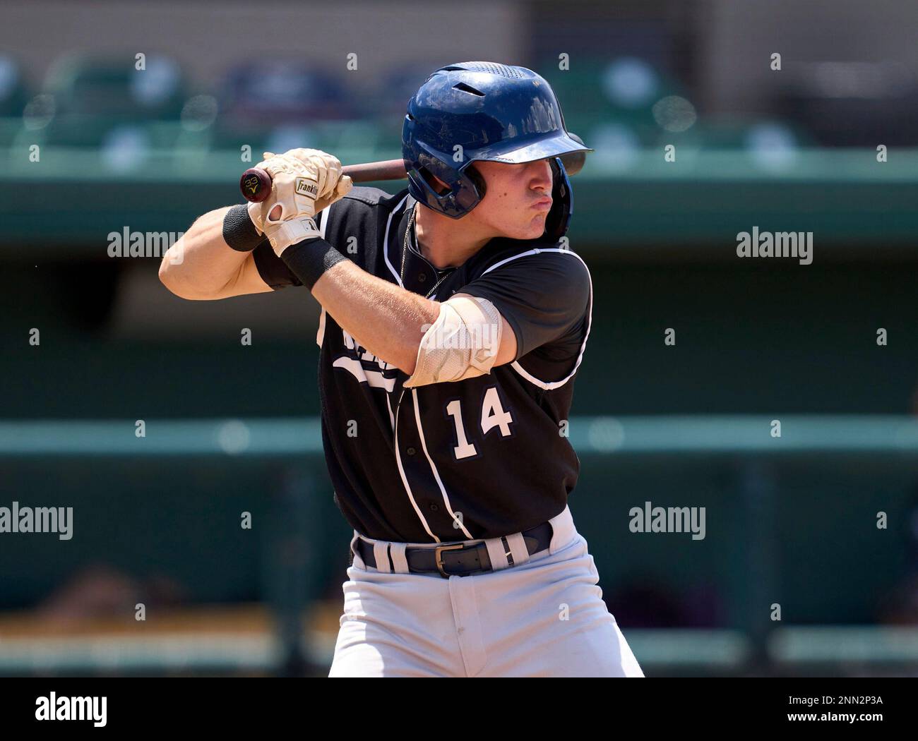 Wharton Wildcats infielder Zach Ehrhard (14) bats during the 42nd ...