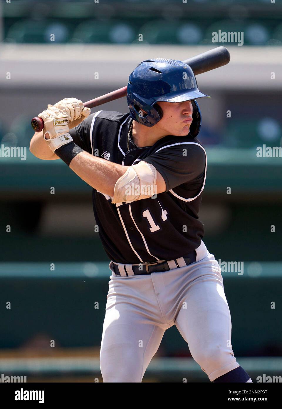 Wharton Wildcats infielder Zach Ehrhard (14) bats during the 42nd ...