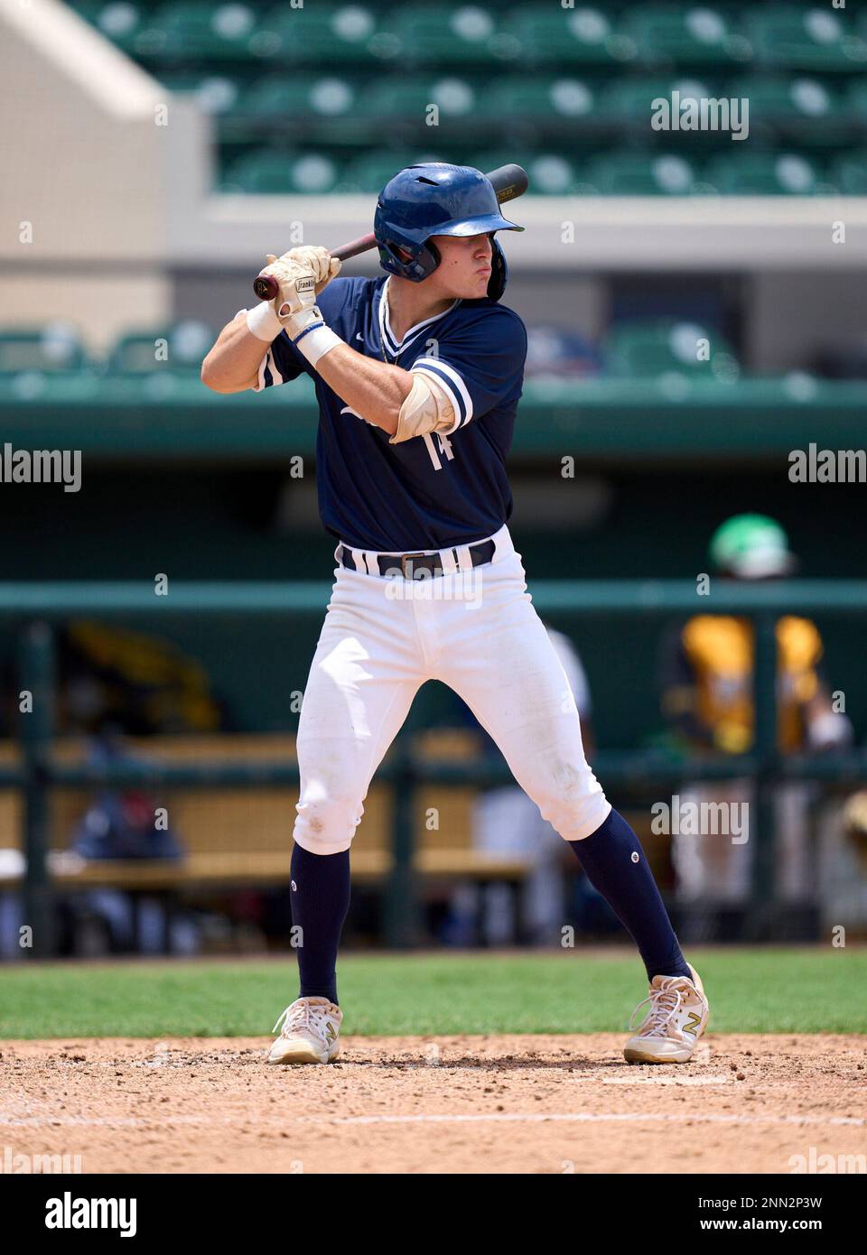 Wharton Wildcats infielder Zach Ehrhard (14) bats during the 42nd ...
