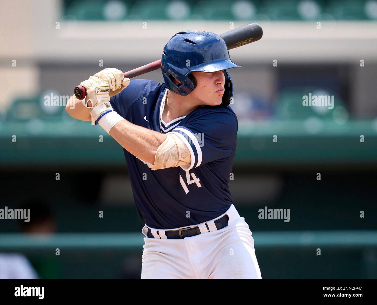 Wharton Wildcats infielder Zach Ehrhard (14) bats during the 42nd ...