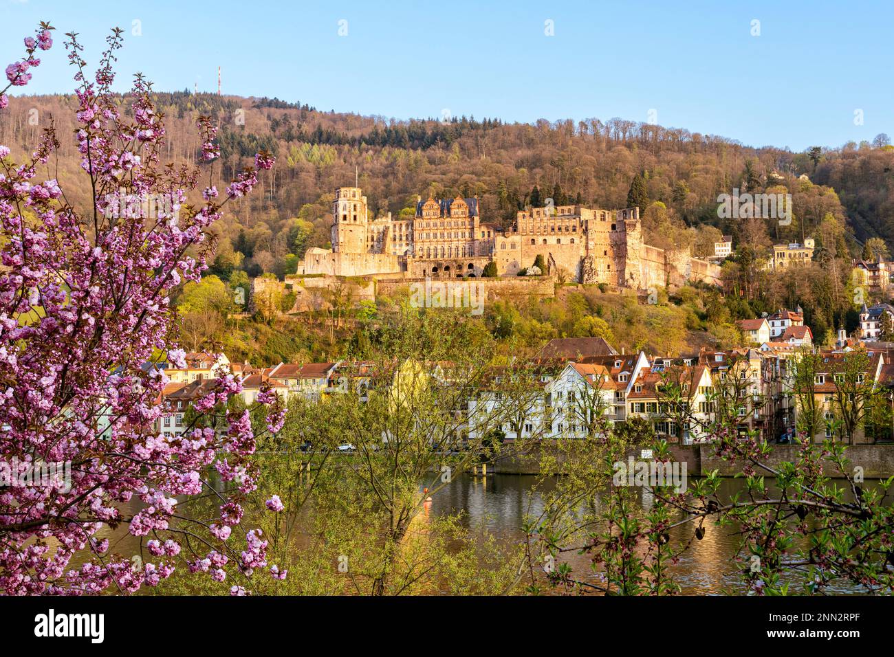 The Old Town of Heidelberg with the castle and river Neckar in spring ...
