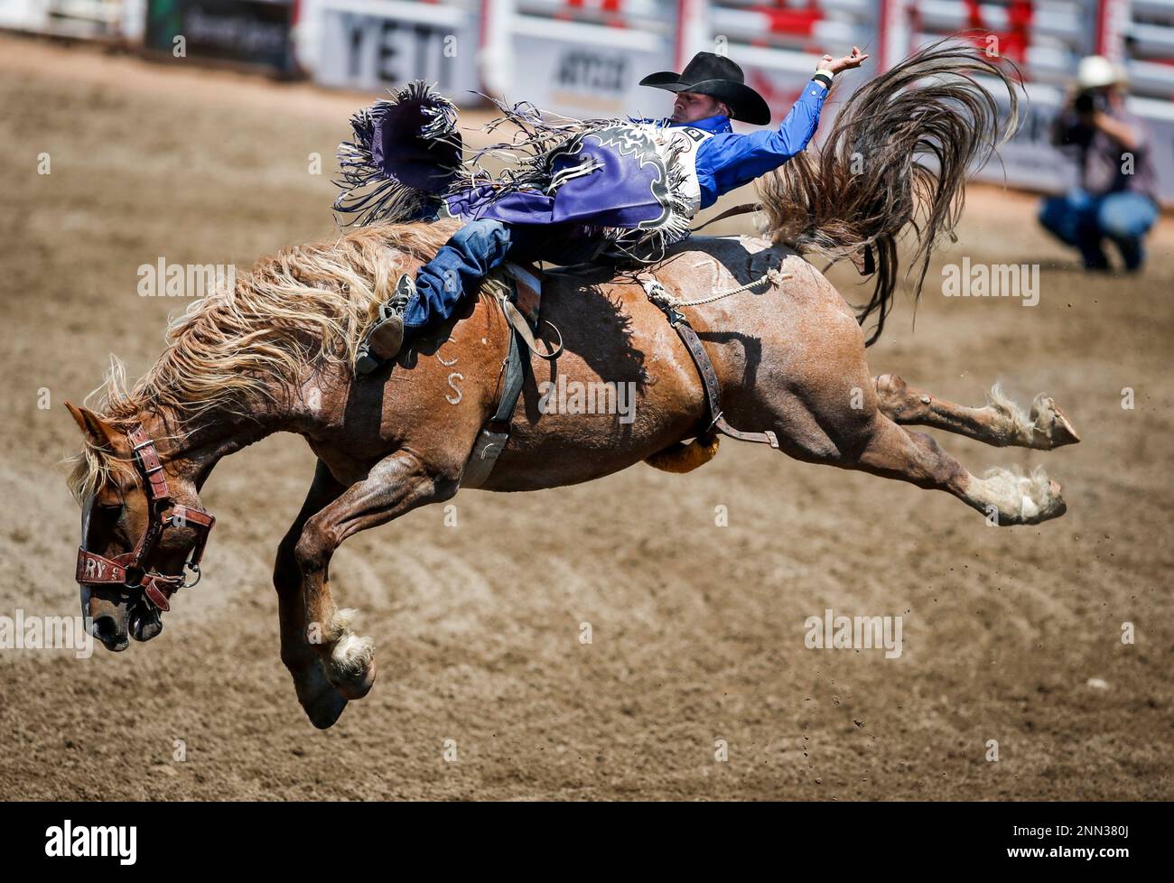 Spur Lacasse, of Canada, rides Zion Acres during saddle bronc rodeo ...