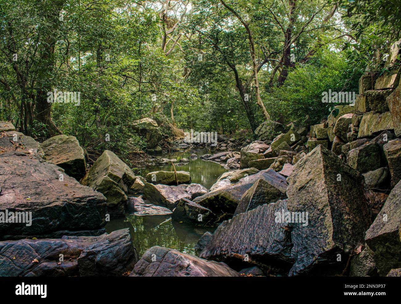 Ecosystembiodiversitywater hi-res stock photography and images - Alamy