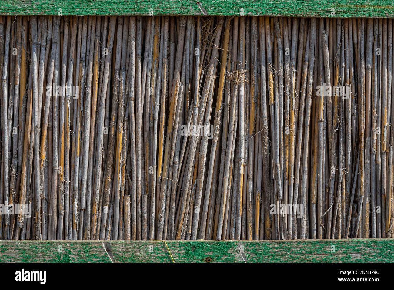 Reed background. Fence from reed. Texture of reed Stock Photo - Alamy