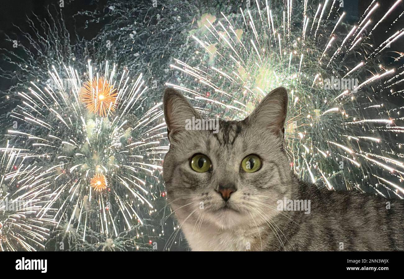 Photo by: STRF/STAR MAX/IPx 2021 7/7/21 4th of July Fireworks continue ...