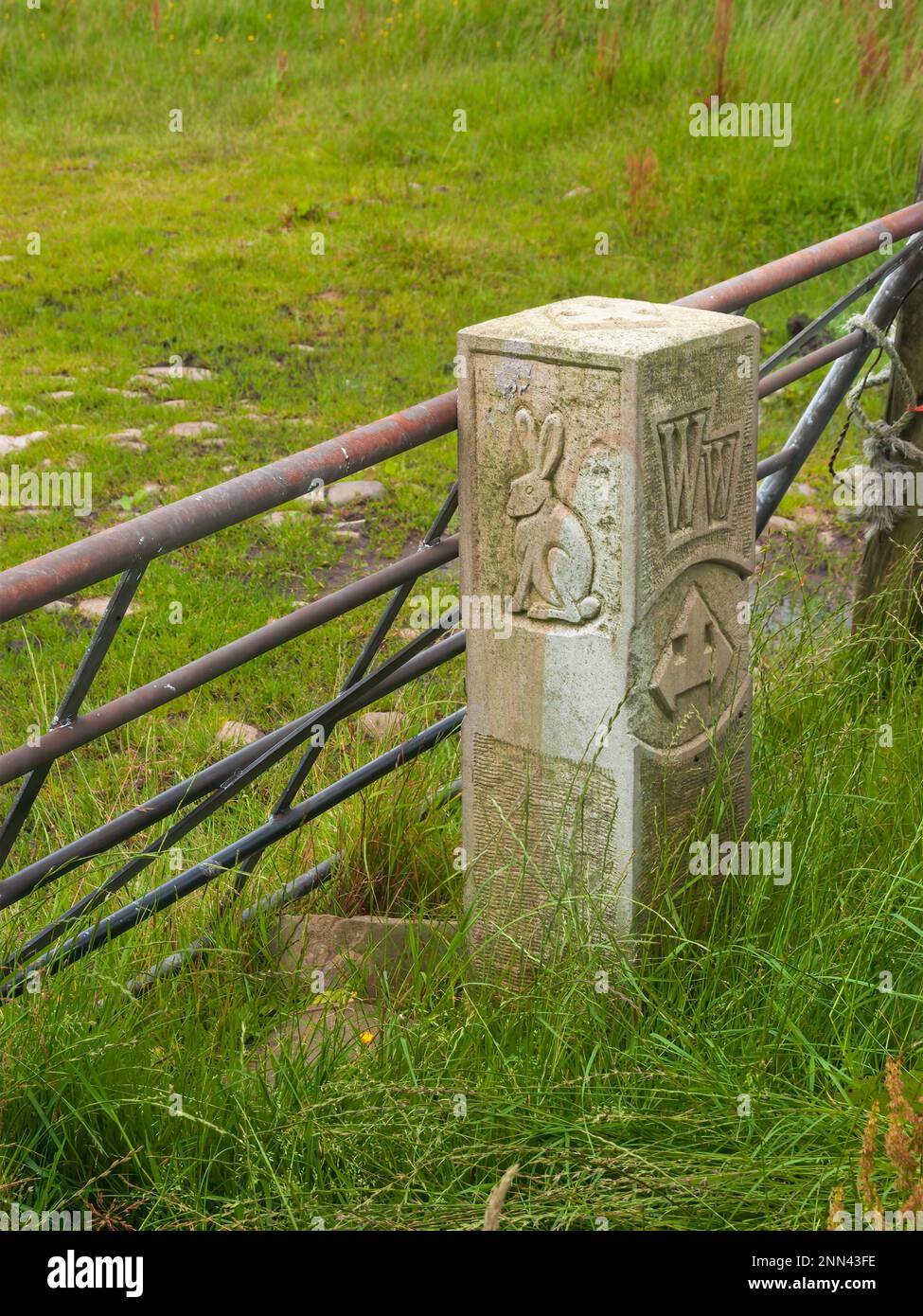 Waymarker on The Wyre Way in the Tarnbrook Valley of Bowland ...