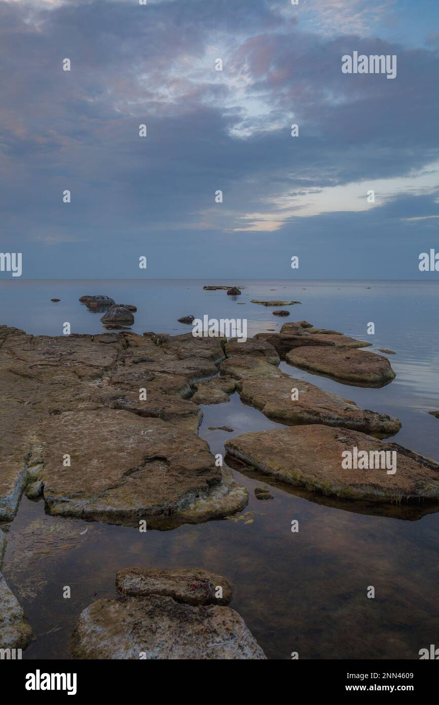 Beautiful sea shore view with with moss-covered rocks. Algae growing on ...