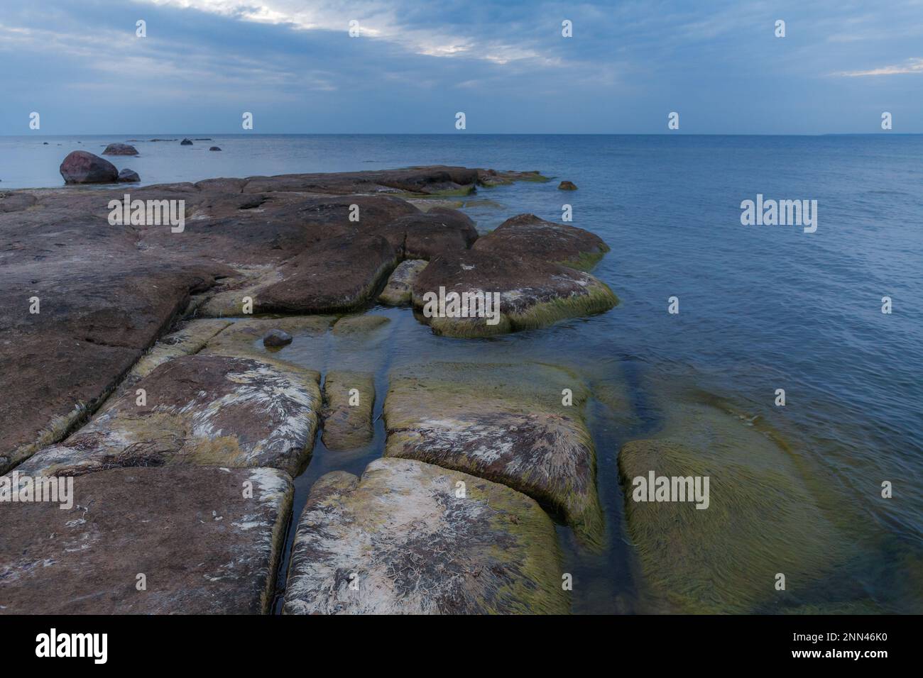 Beautiful sea shore view with with moss-covered rocks. Algae growing on ...