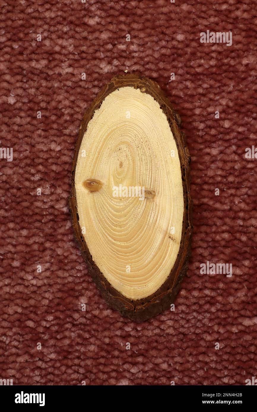 Pine wood slabs hi-res stock photography and images - Alamy