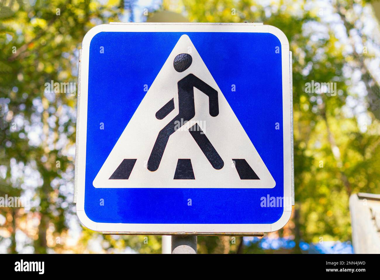 Crosswalk road sign on autumn leaves and sky background.Russian road ...