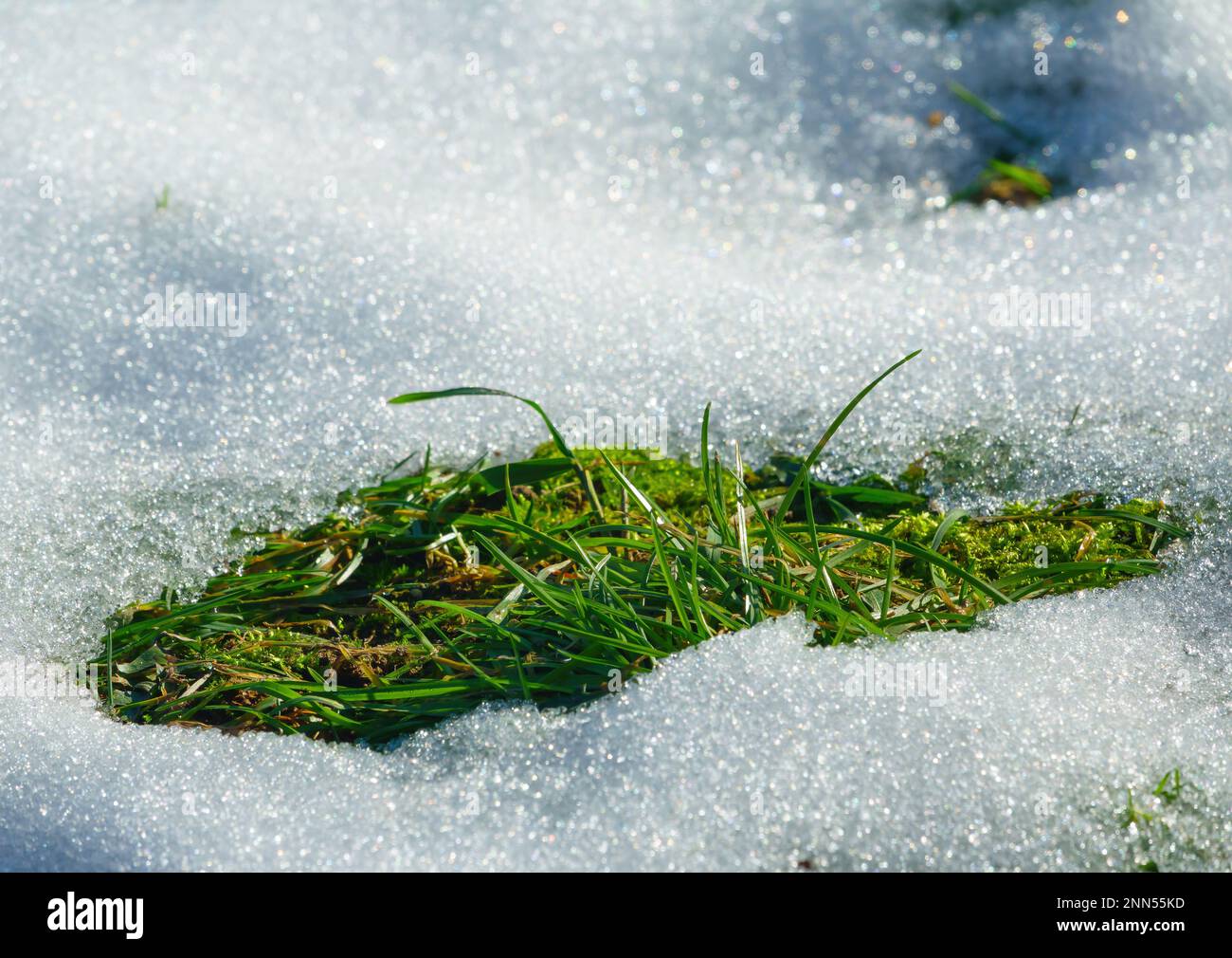 Early springtime hi-res stock photography and images - Alamy