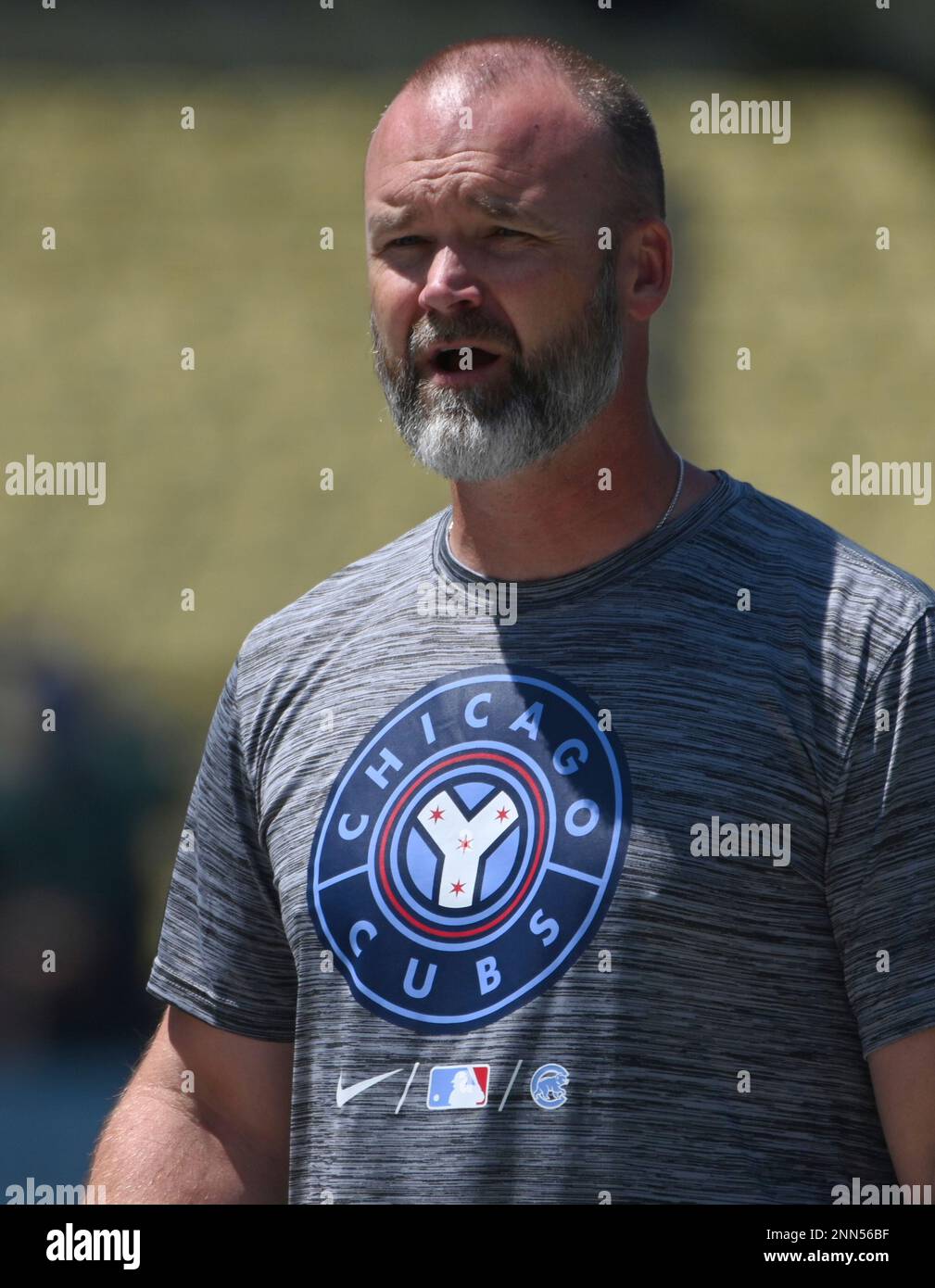LOS ANGELES, CA - JUNE 27: Manager David Ross of the Chicago Cubs seen ...