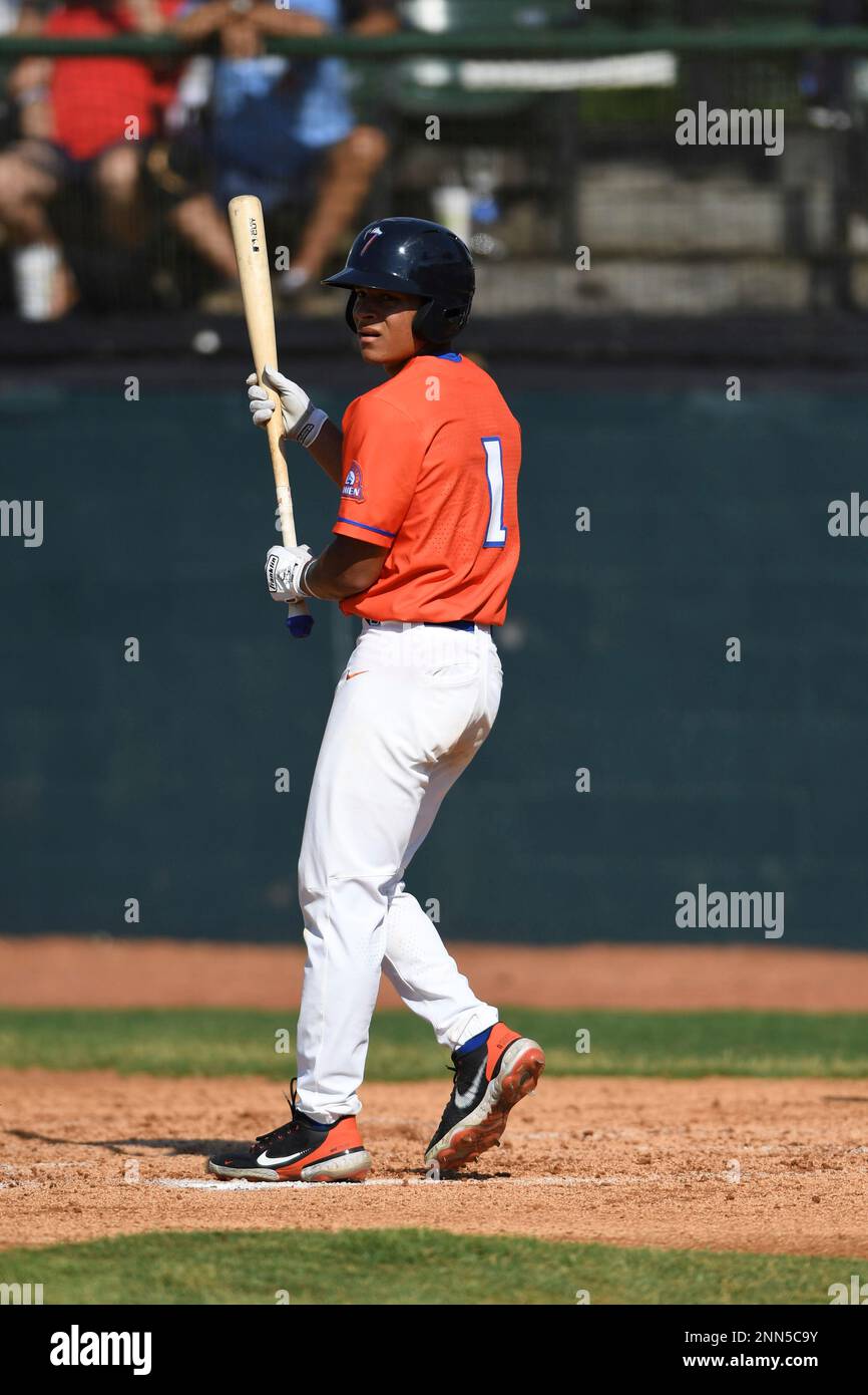 Connor Milton (1) (Illinois) of the Kingsport Axemen during a game ...