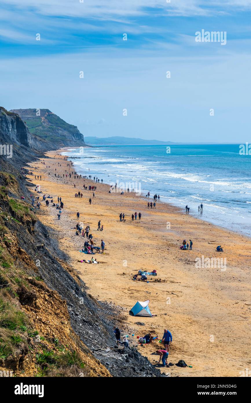 Charmouth, Dorset Area Of Outstanding Natural Beauty, England, United ...