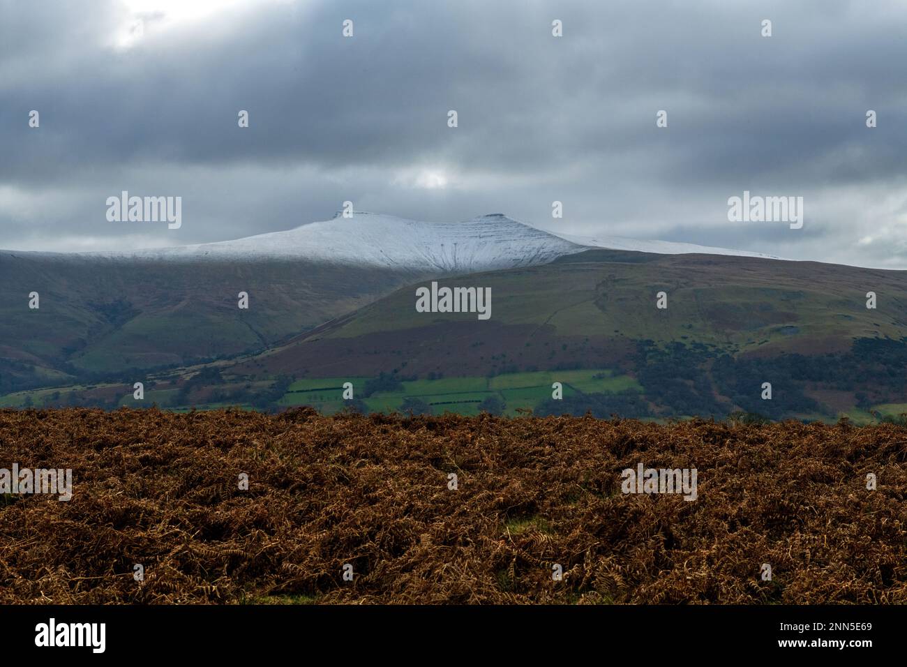 Snowfall on corn du hi-res stock photography and images - Alamy