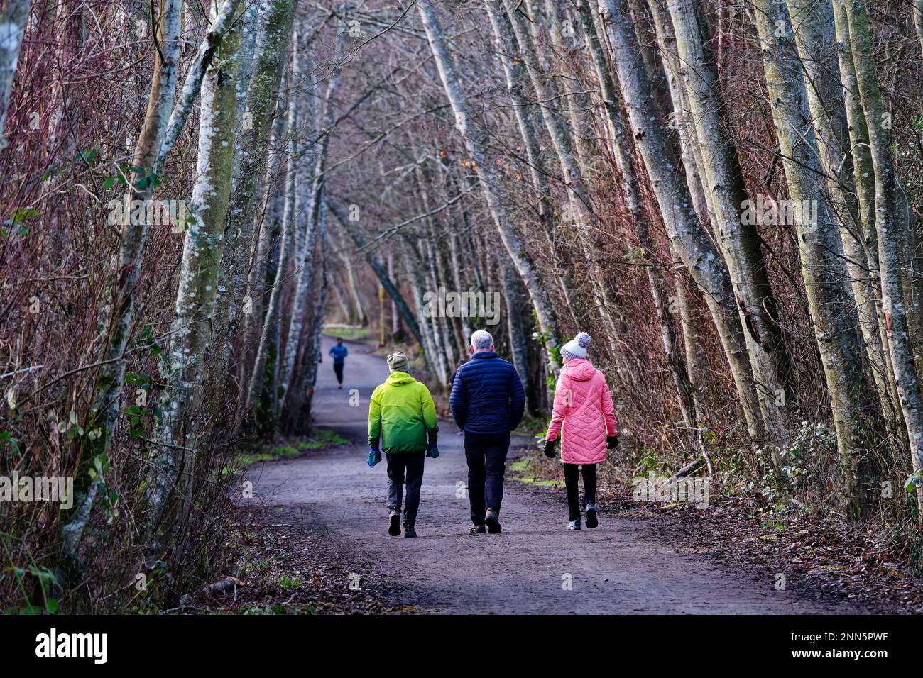 A group of people walking down the path between trees that grow out of ...