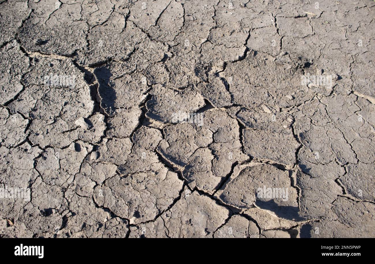 Background of dry cracked earth, parched earth, texture of earth dirt ...