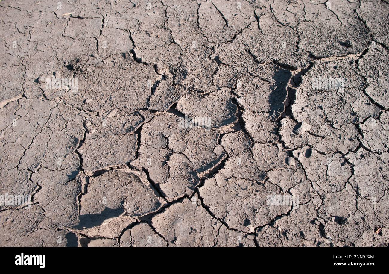 Background of dry cracked earth, parched earth, texture of earth dirt ...