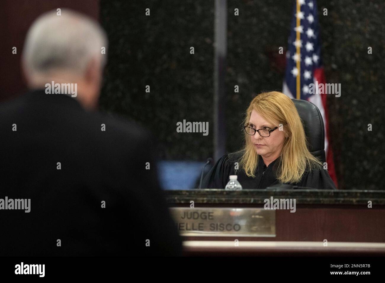 Hillsborough Circuit Judge Michelle Sisco pauses during Ronnie Oneal ...
