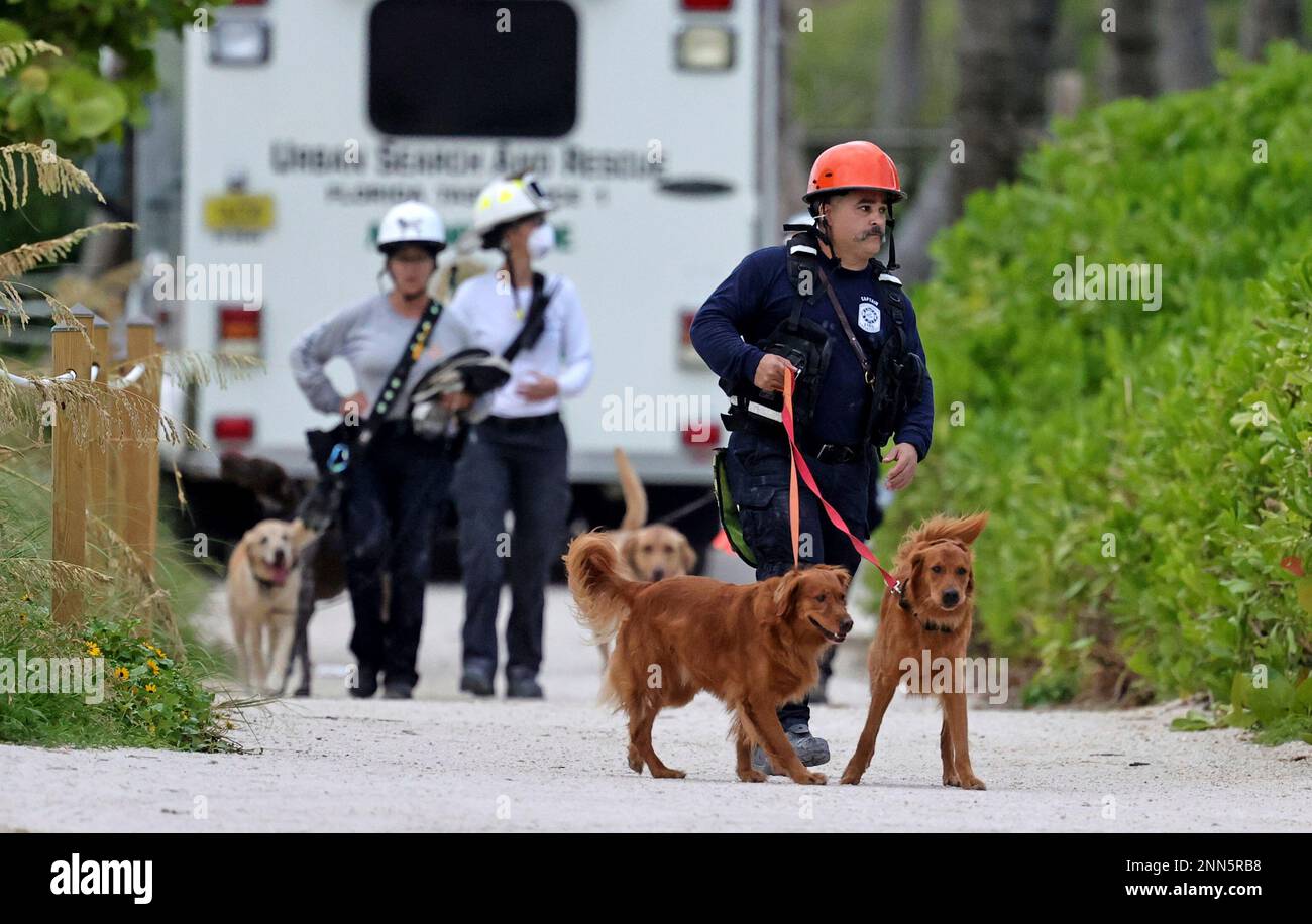 Fire rescue personnel conducting search and rescue walk back with their ...