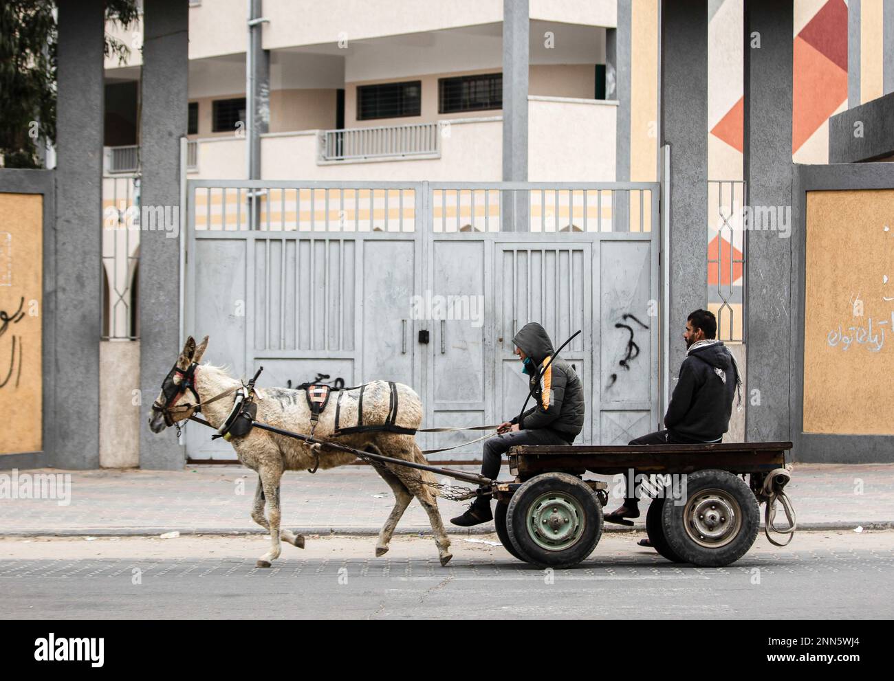 Gaza, Palestine. 25th Feb, 2023. Two Palestinian men ride a donkey cart ...