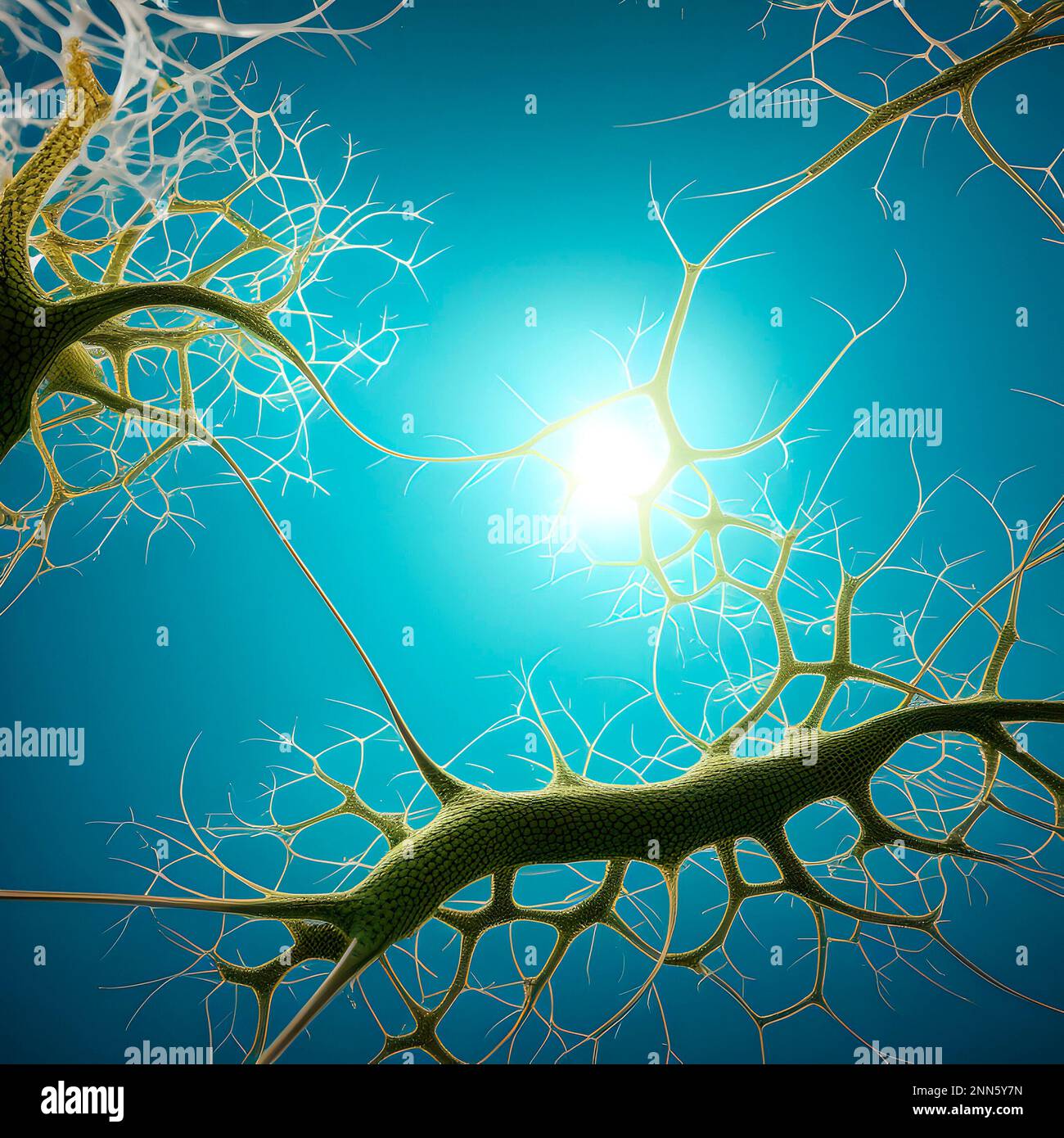Brain neurons photo hi-res stock photography and images - Alamy
