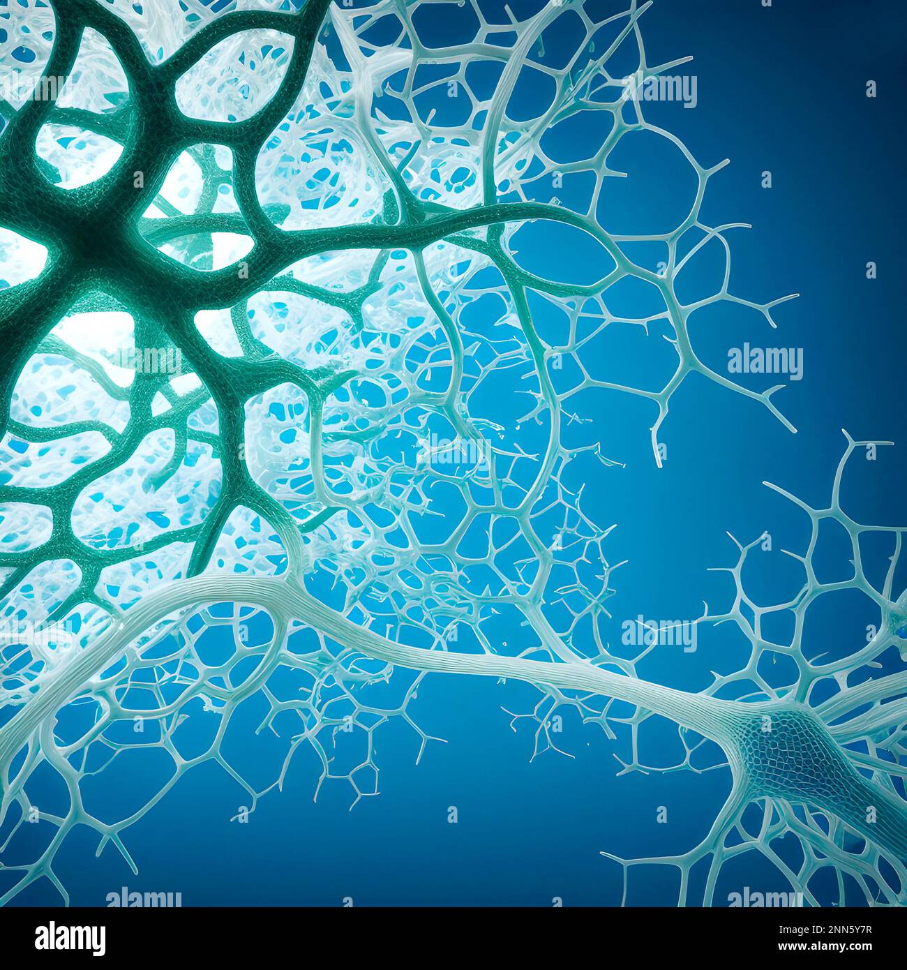 Neuron images hi-res stock photography and images - Alamy