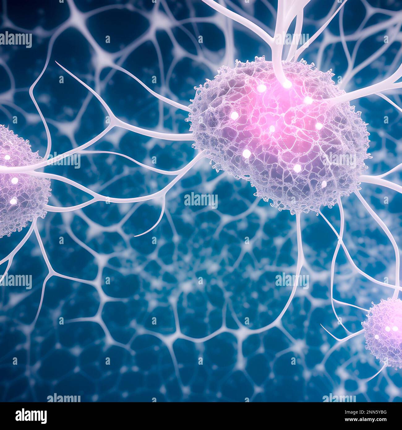 Brain neurons photo hi-res stock photography and images - Alamy