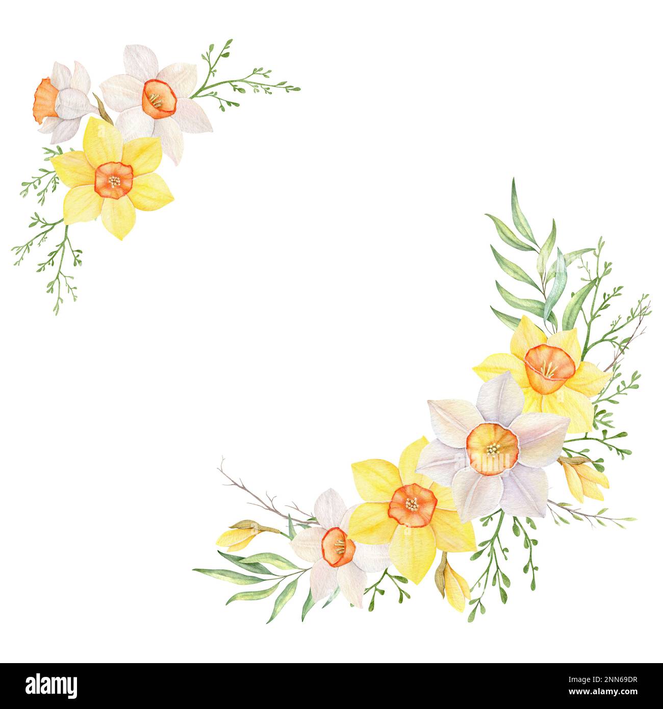 Watercolor wreath of yellow and white daffodils. Hand painted frame ...