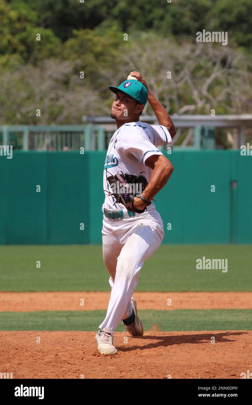 Florida Southwestern pitcher Antonio Knowles (7) during a game against ...