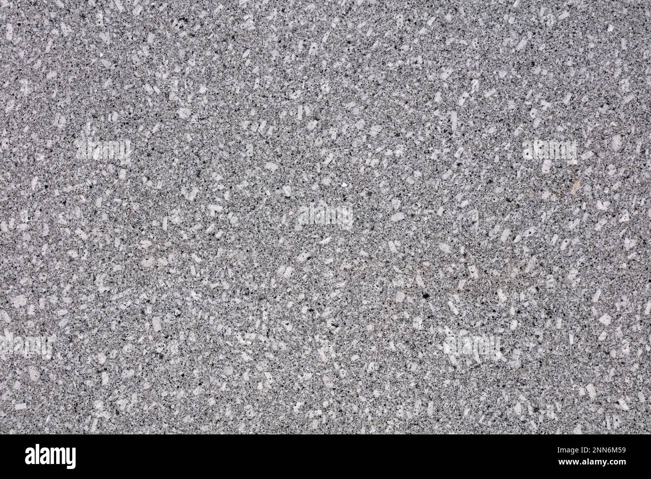 Platinum White - natural grey granite stone slab, texture for perfect ...
