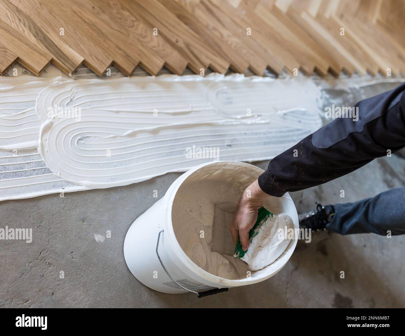 Worker spreading glue with spatula on concrete floor for parquet ...