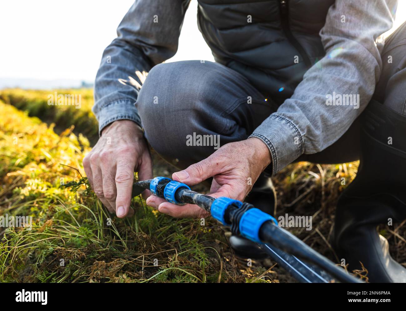 Close up of farmer's hands repairing irrigation system in agricultural ...