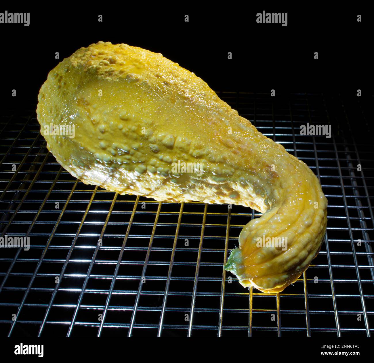 Fresh yellow squash on a metal grate with a dark background Stock Photo ...