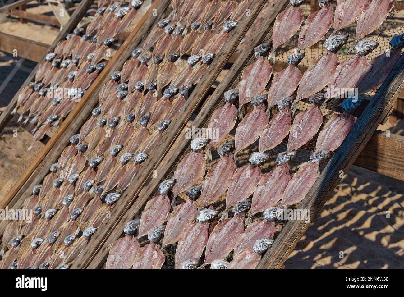 Traditional fish-drying on the beach of Nazare, Portugal Stock Photo ...
